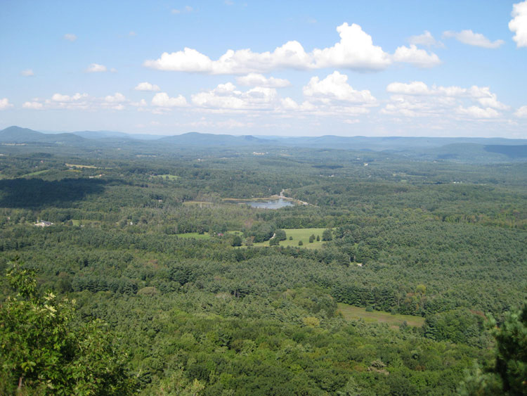 Remembering Lois Ginsberg - Egremont Land Trust